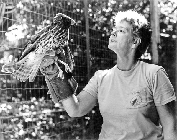 CROW to host 50th Anniversary Celebration Sunday - Cape Coral Breeze